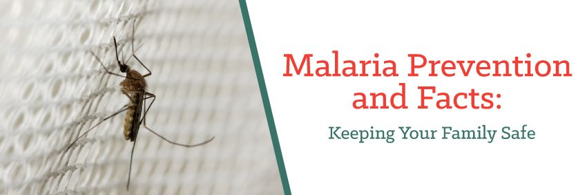 What Is Malaria | Mosquito Borne Diseases