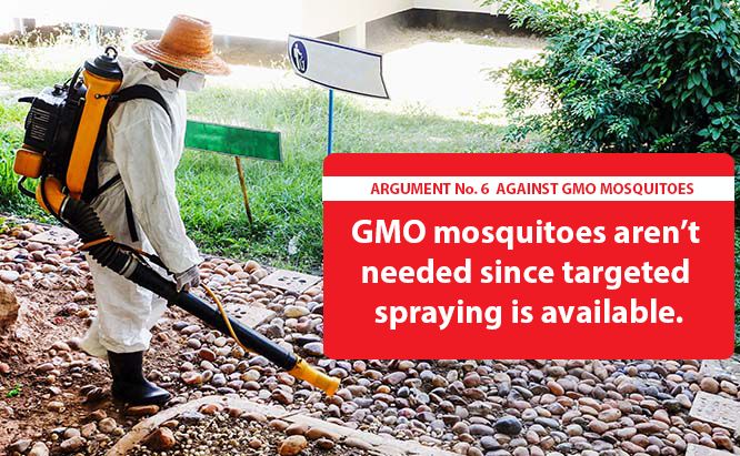 Pros and Cons of Genetically Modified Mosquitoes