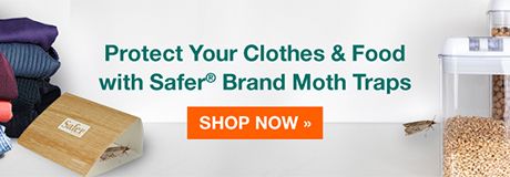 What Do Moths Eat and How to Keep Moths Away